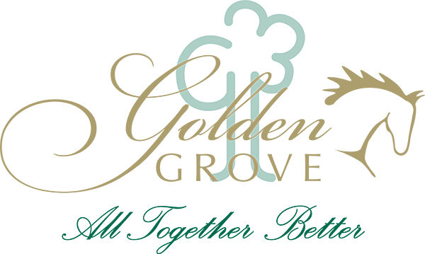 Golden Grove Stud – Based in the Hunter Valley, NSW, Golden Grove is a ...